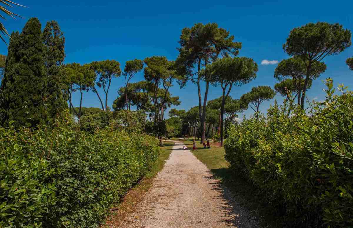 Approvato il Regolamento del Verde Pubblico per Roma – The Parallel ...